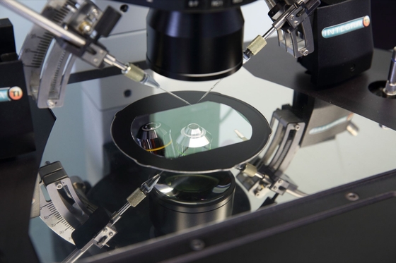 In Vitro Fertilization (IVF) - 1 Cycle | Gennet Clinic Archa Prague ...